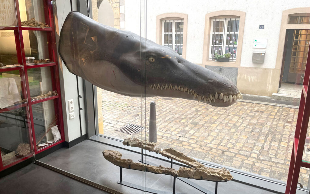 Lorrainosaurus keileni – Sachs Vertebrate Palaeontology Research